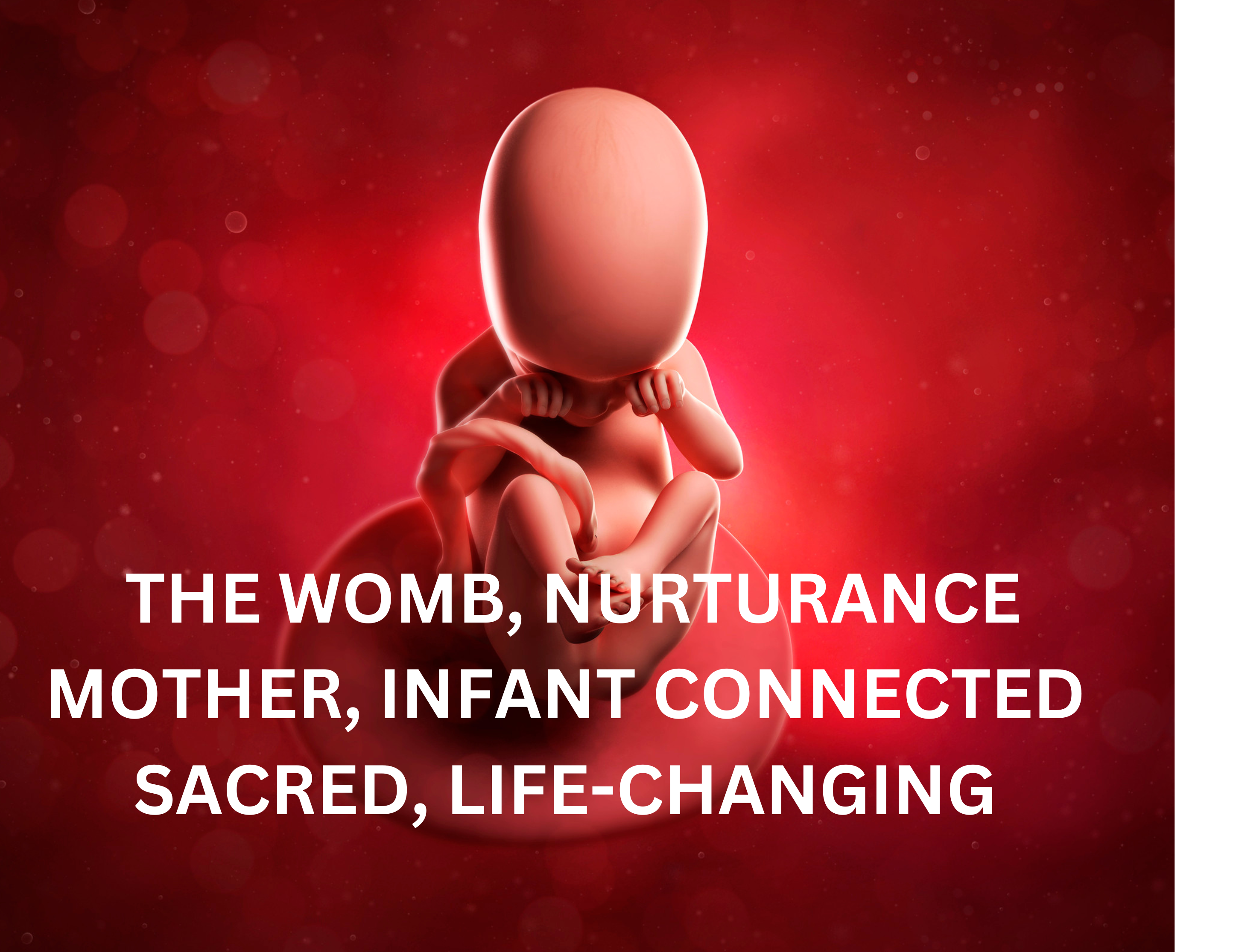 THE WOMB – KAREN INGALLS, AUTHOR, BLOGGER & SURVIVOR
